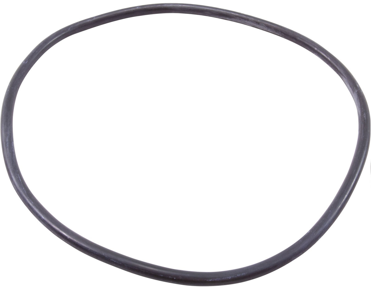 PARAMOUNT 005-152-2206-00 O-Ring Paramount EDC Debris Canister Lid ...