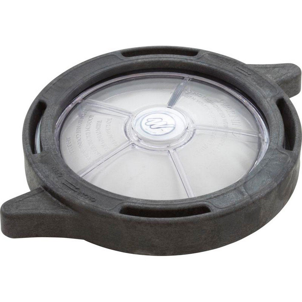 Waterway 319-4100 6" Trap Lid Easy Lock for Econo-Flo – Major Pool Supplies